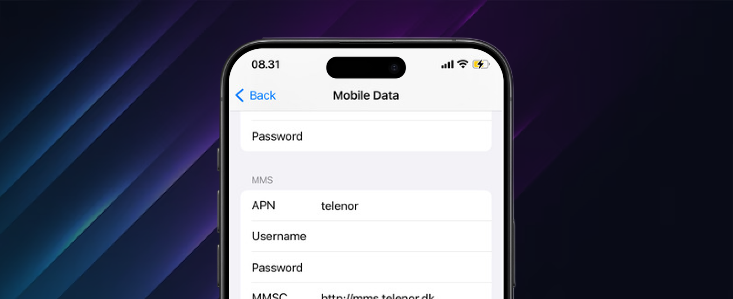 How to Change iPhone APN Settings | Driffle