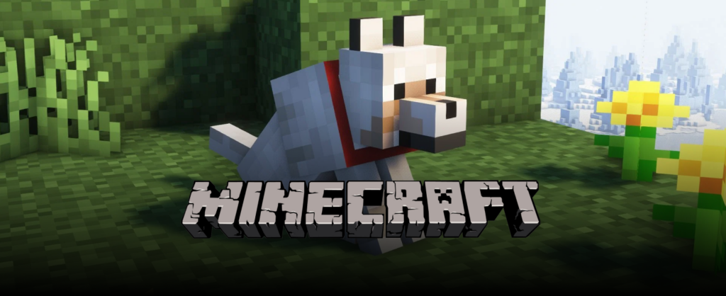 What are Minecraft Seeds and how to use them | Driffle