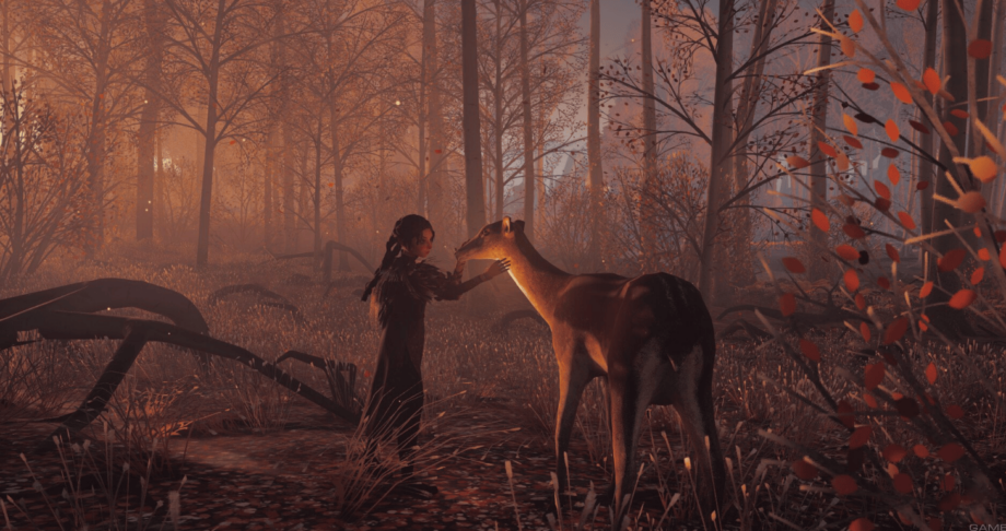 Reka Tips and Tricks: A Guide for Beginners | Driffle