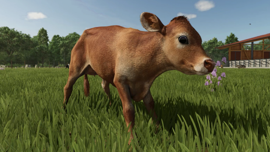 How to Manage Animals in Farming Simulator 25 | Driffle