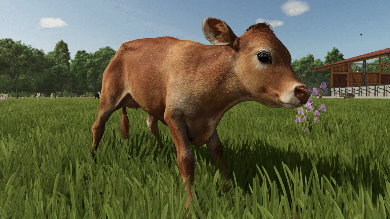 How to Manage Animals in Farming Simulator 25 | Driffle
