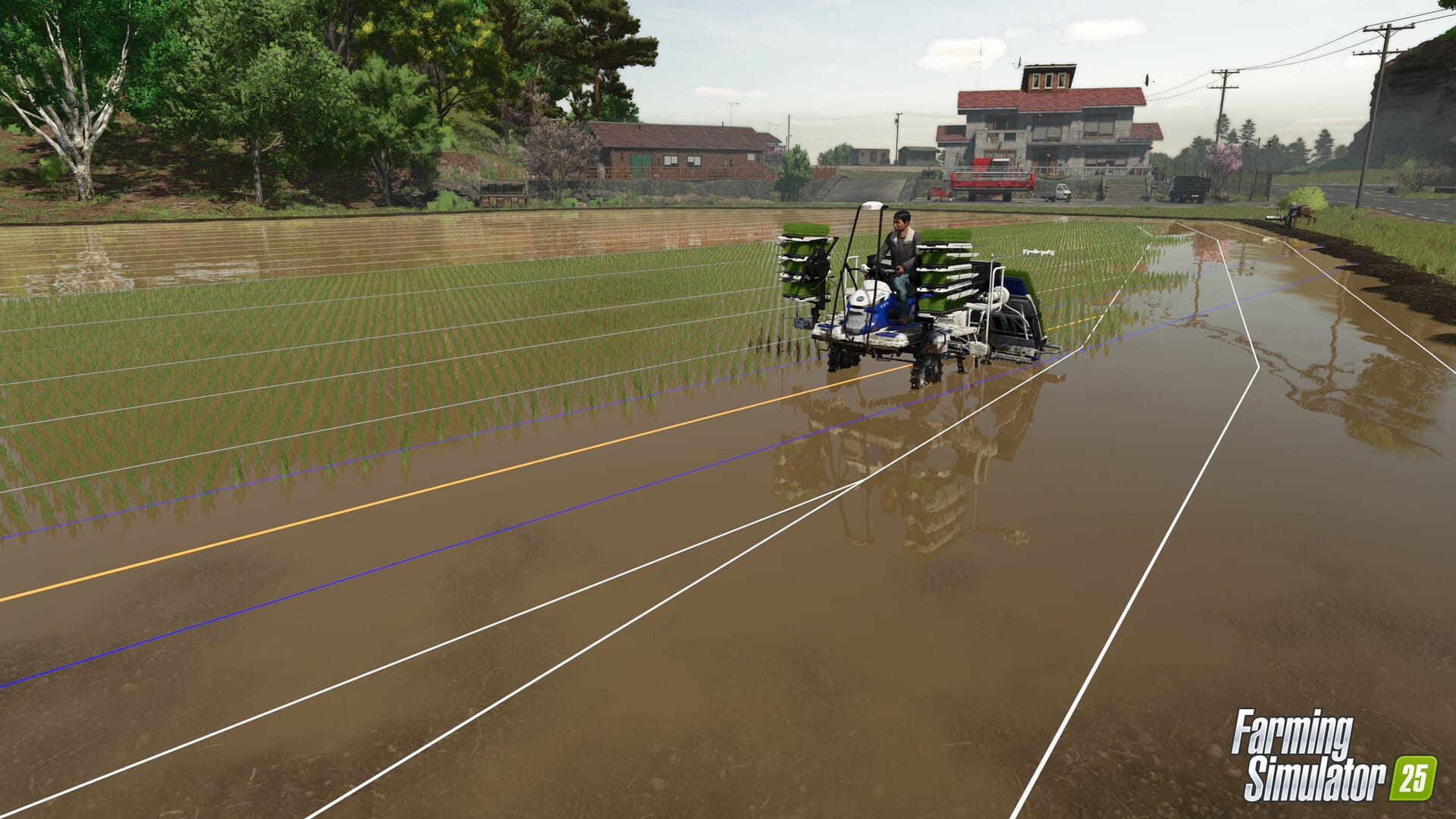 How to Grow Rice in Farming Simulator 25? | Driffle